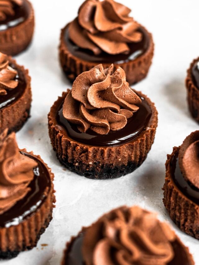 Mini Chocolate Cheesecakes - Rich And Delish