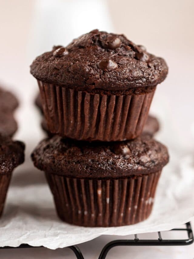 Moist Double Chocolate Muffins - Rich And Delish
