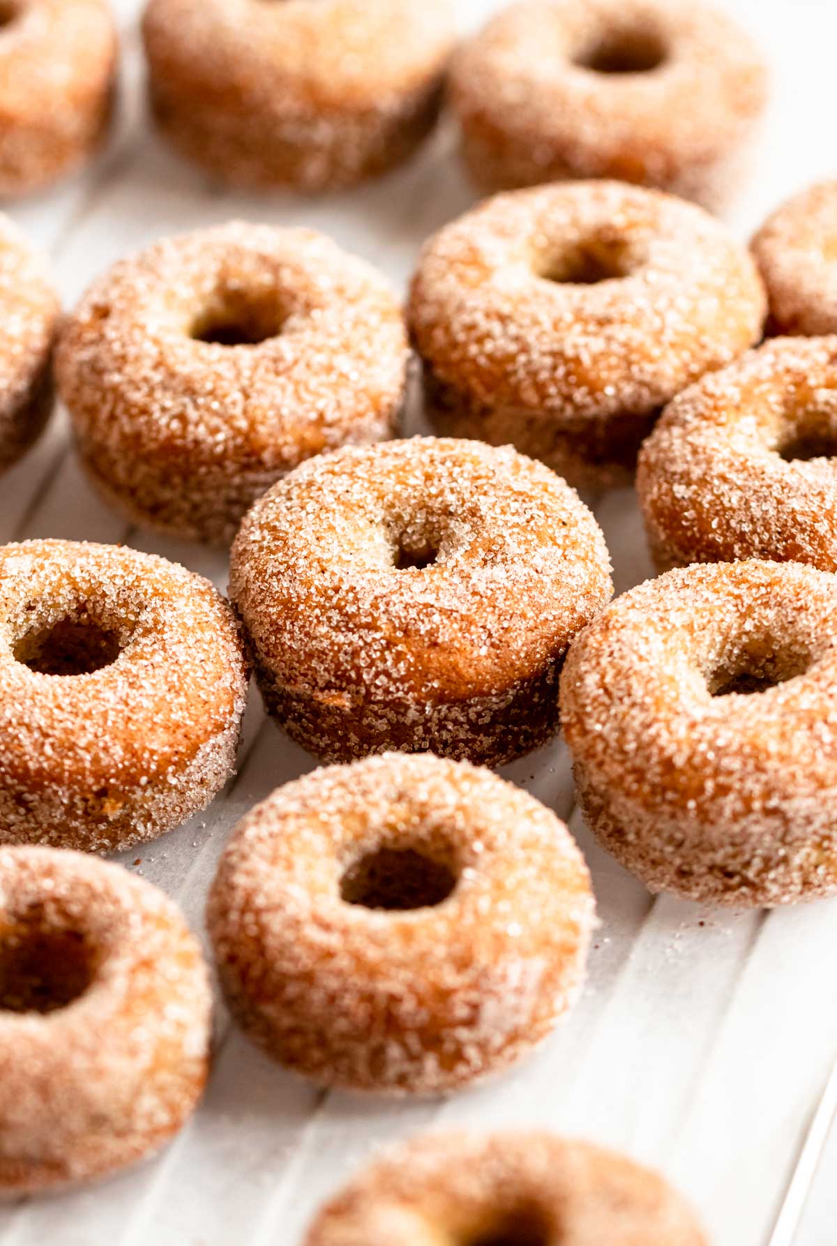 Mini Donuts (baked) - Rich And Delish