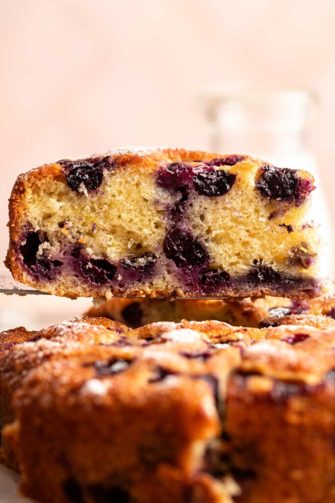 Easy Moist Blueberry Cake (One Bowl) - Rich And Delish