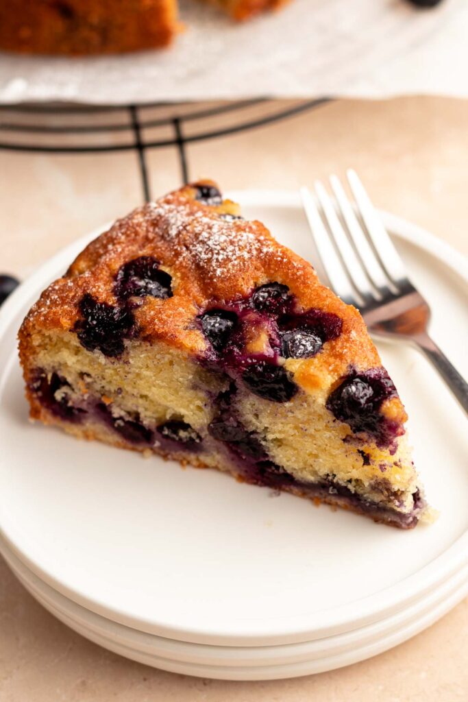 Easy Moist Blueberry Cake (One Bowl) - Rich And Delish