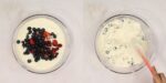 Easy Moist Mixed Berry Cake (One Bowl) - Rich And Delish