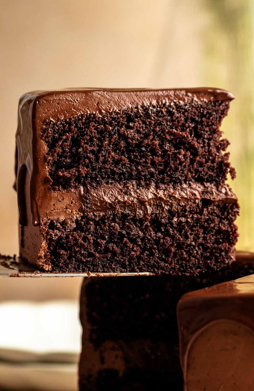 The BEST Chocolate Ganache Cake - Rich And Delish