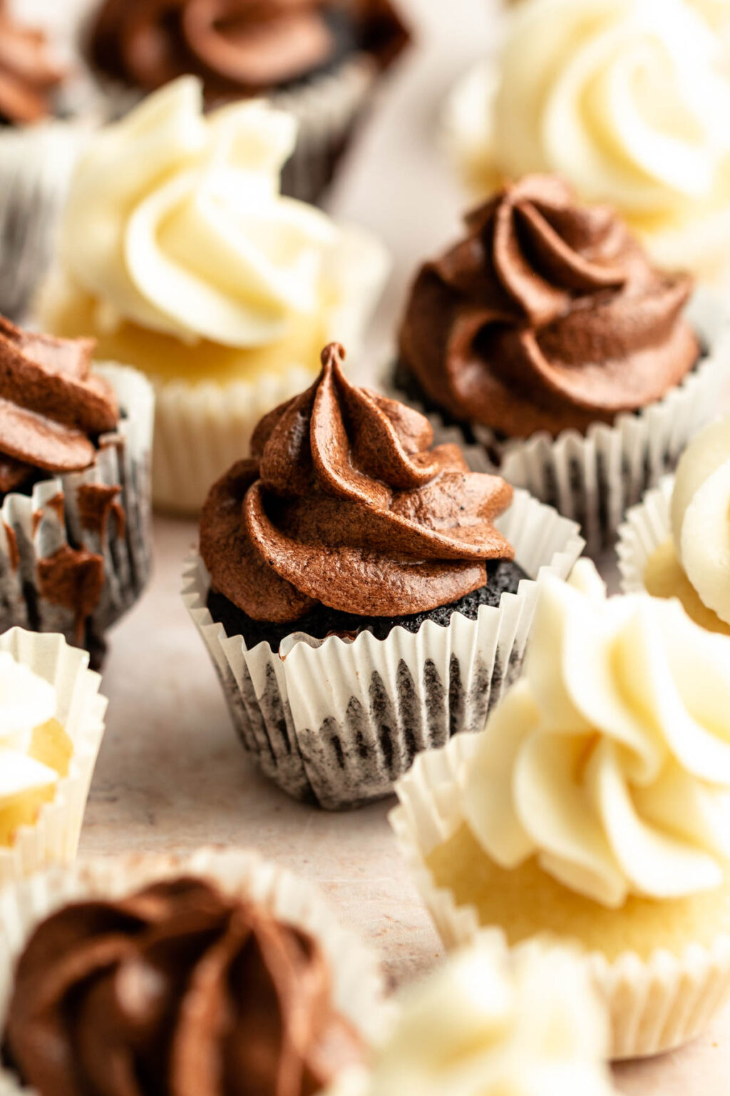 Mini Cupcakes (Chocolate & Vanilla) - Rich And Delish