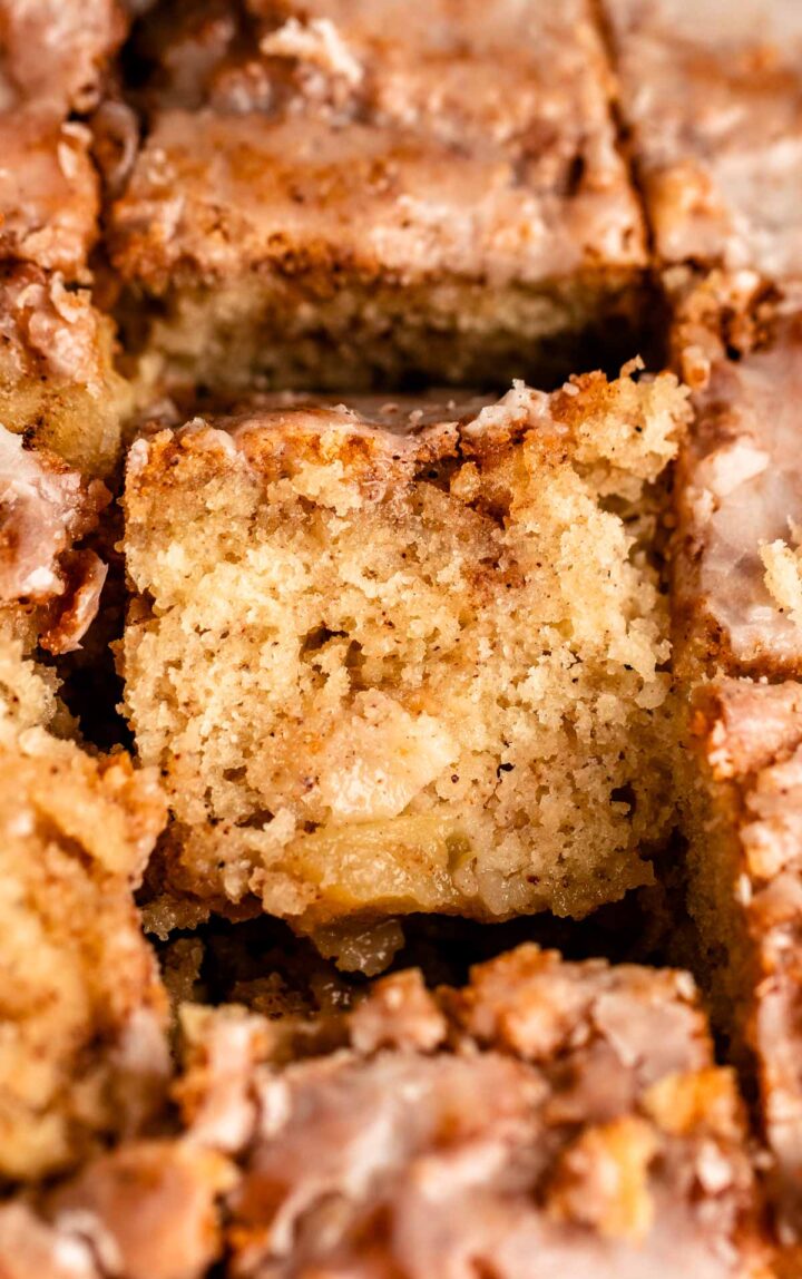 Moist Cinnamon Apple Cake - Rich And Delish