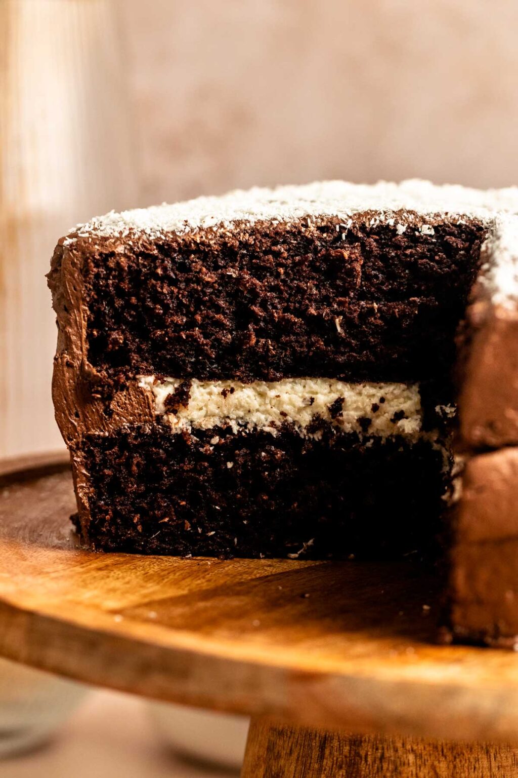 Chocolate Coconut Cake - Rich And Delish